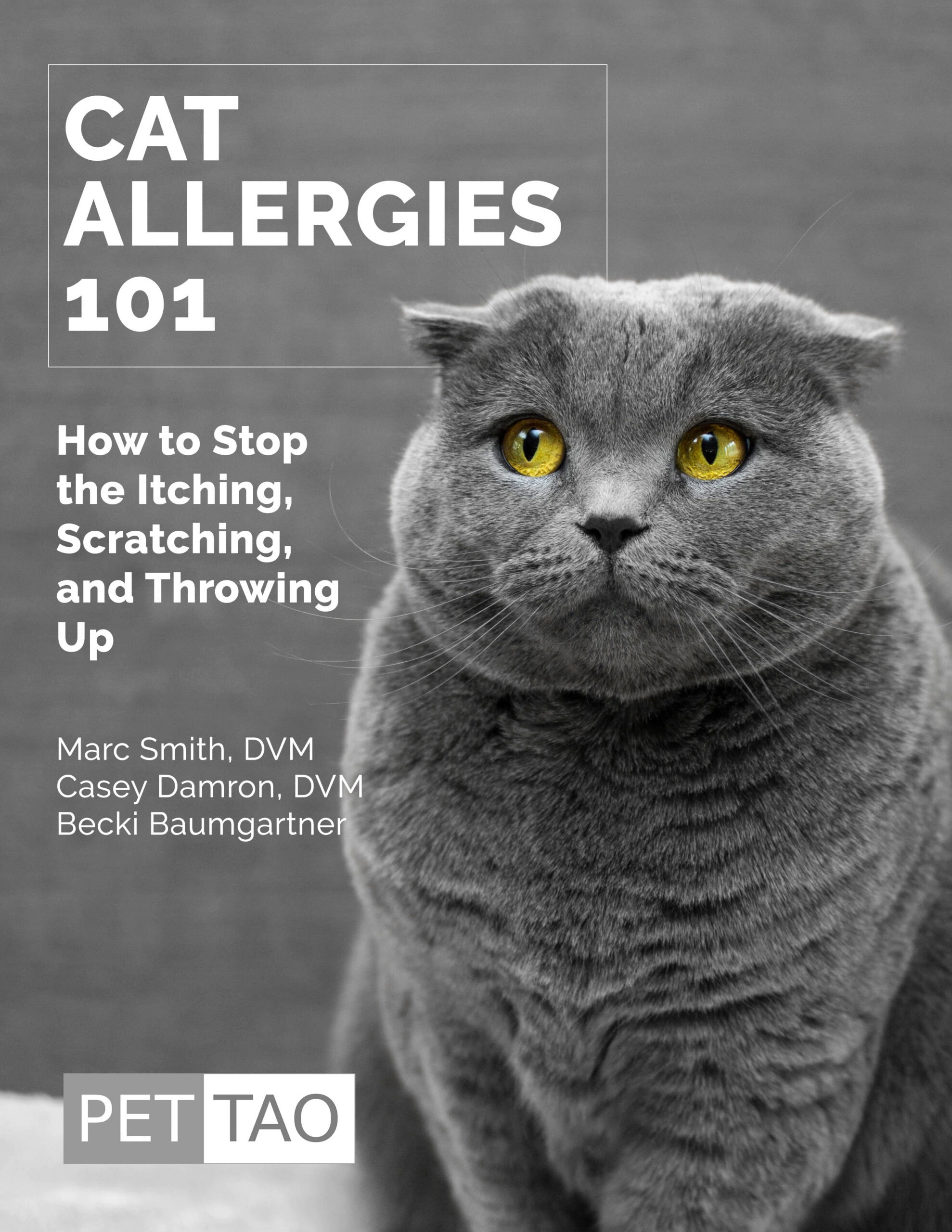 The Ultimate Guide to Managing Cat Allergies: 5 Natural Solutions ...