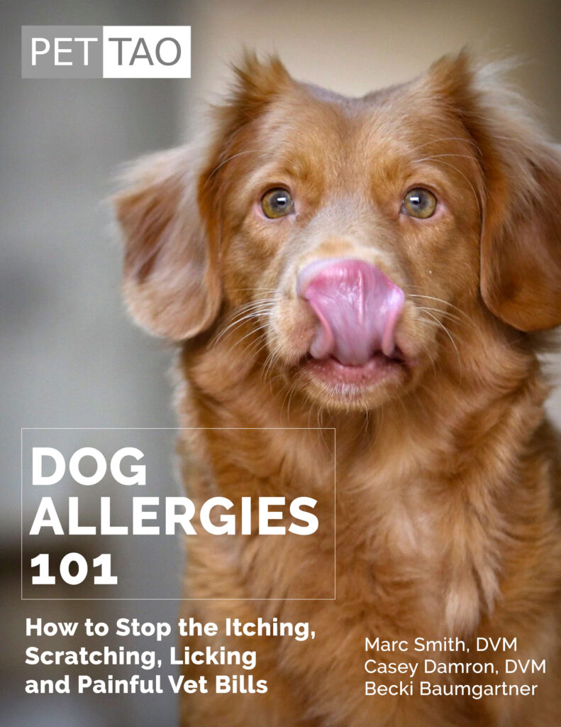 5 Warning Signs of Dog Allergies You Shouldn't Ignore - White Oak ...