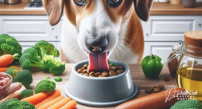 Fatty Tumors in Dogs: 7 Alarming Signs You Shouldn’t Ignore - White Oak ...